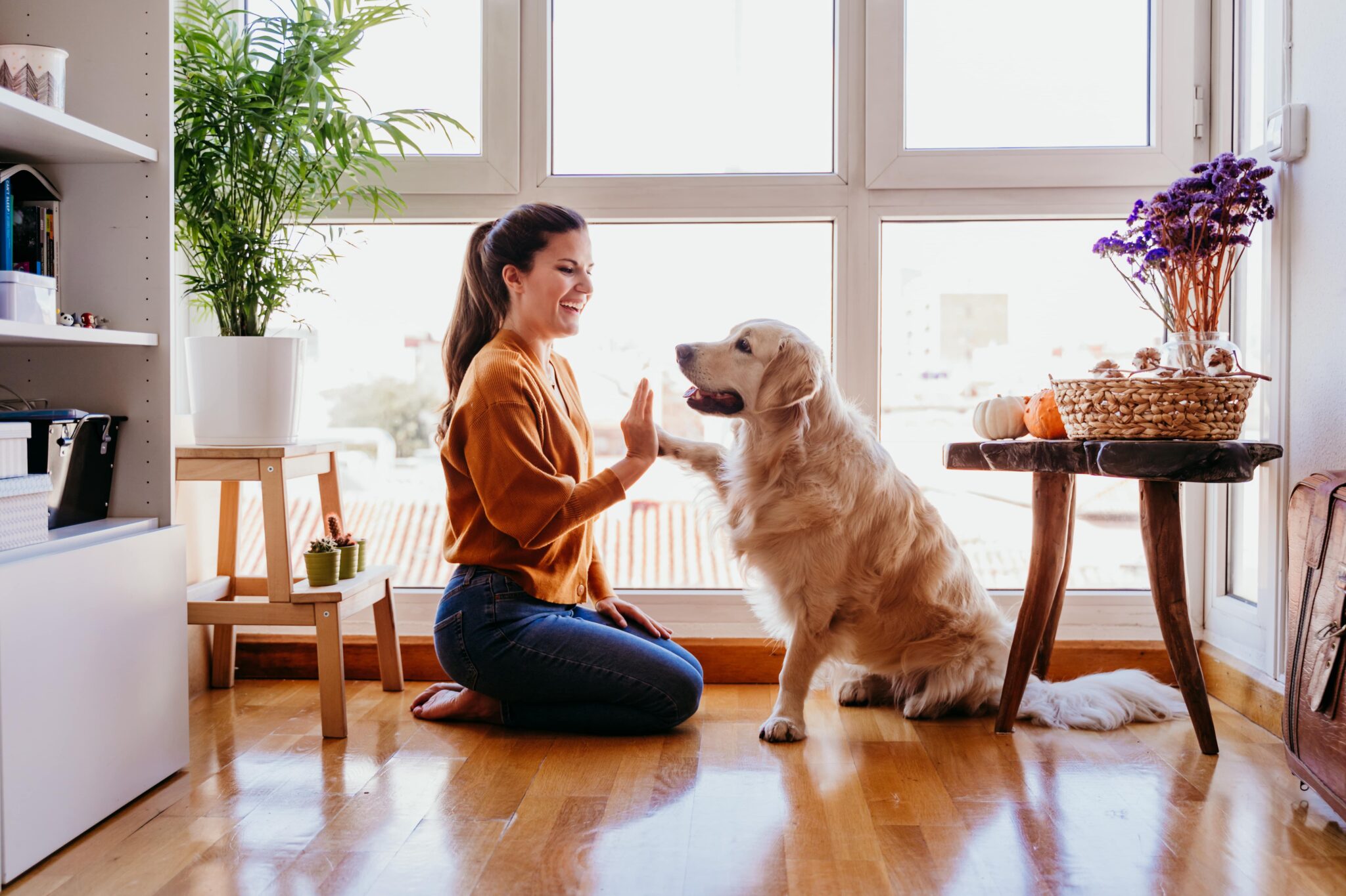 Addressing Pet Restrictions in HOA and Condominium Communities ...